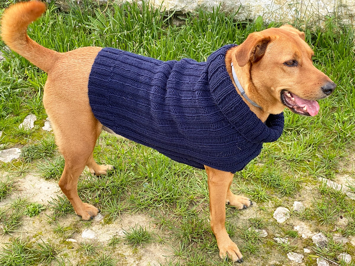 Knitted Dog Sweater Pattern 3 Sizes Naive Pets