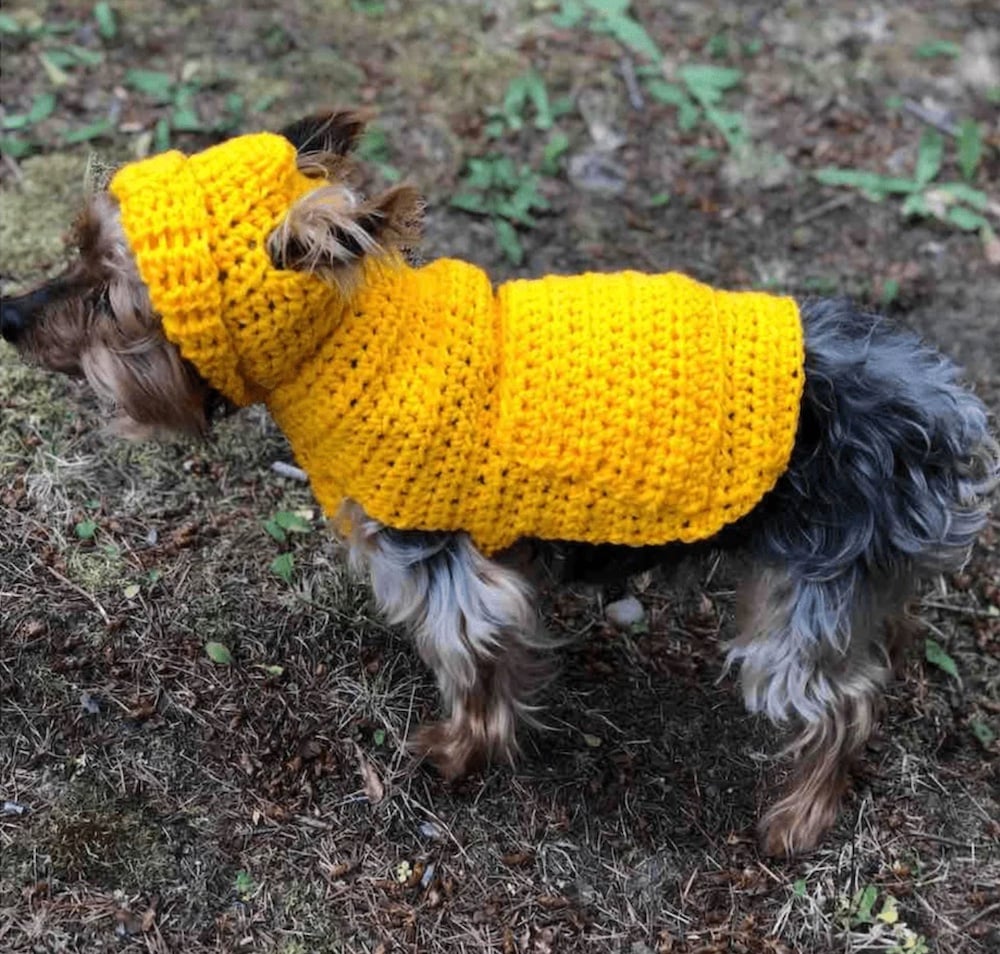30 Free Crochet Dog Sweater Patterns (Easy Ideas) - Handy Little Me