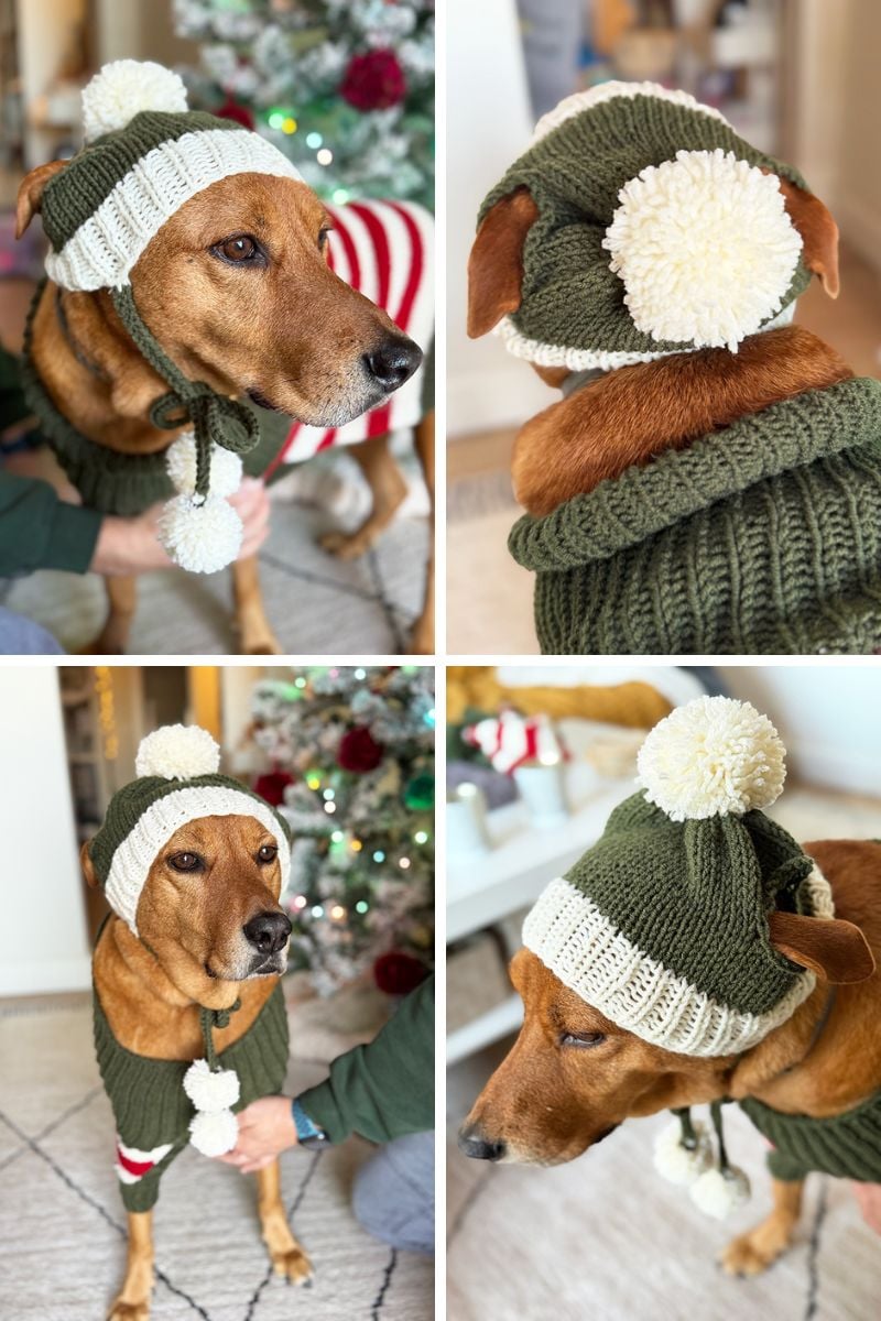 Free Dog Hat Knitting Pattern (Bobble Hat With Ear Holes) - Handy Little Me